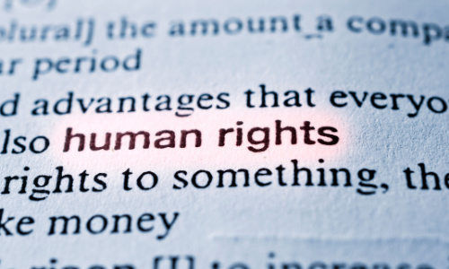 Assessing The Impact Of Mandatory Human Rights Due Diligence For The